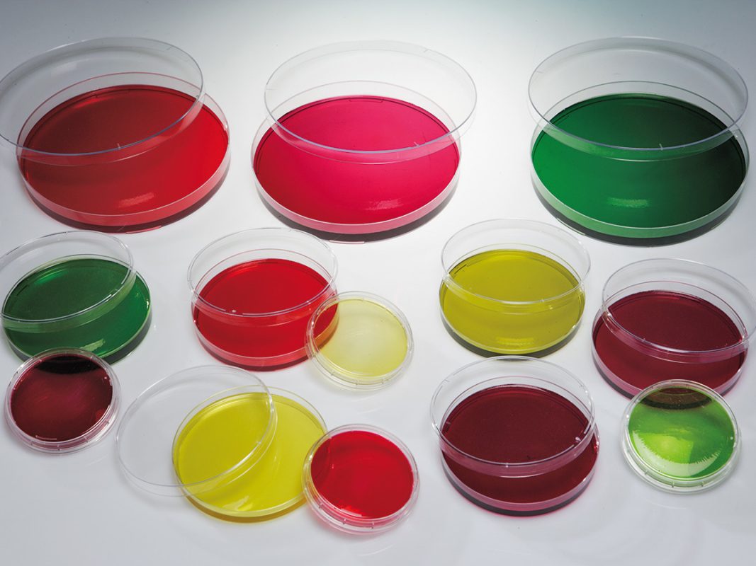 Corning® Gosselin™ Petri Dish 100 x 15 mm; 3 Vents; Sterile; 33/Bag ...