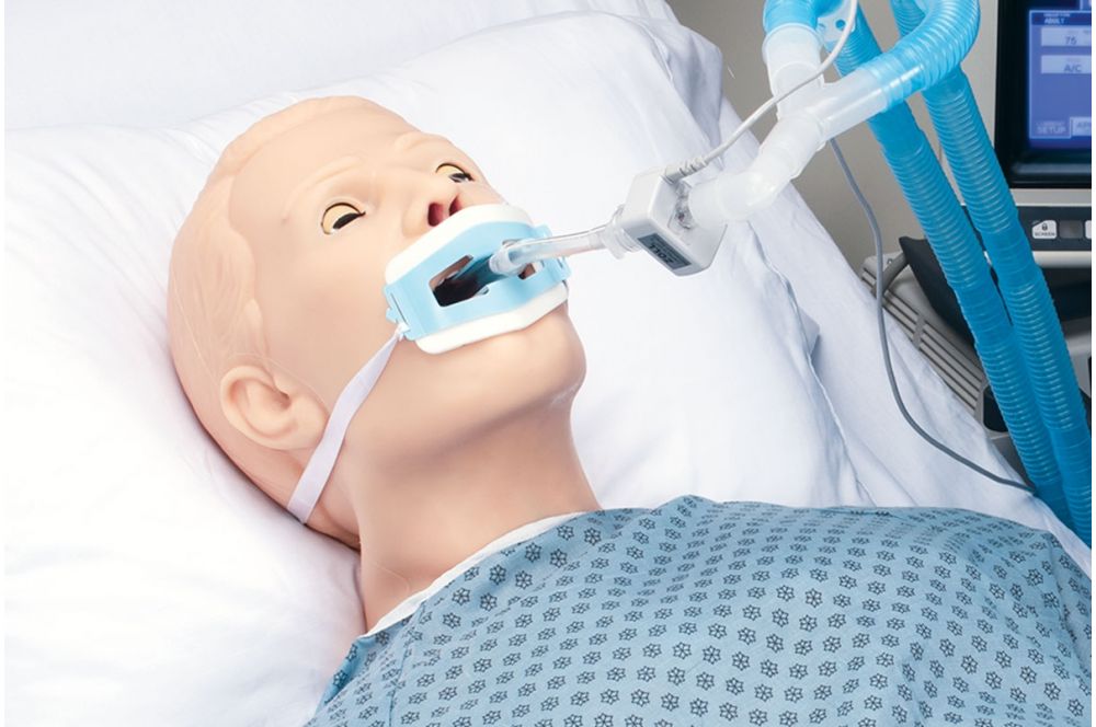 GAUMARD HAL® S1030 - Simulator Kepatuhan Saluran Udara dan Paru-Paru ...