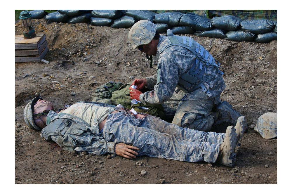 GAUMARD Trauma HAL® S3040.50 - Simulator Pasien Perawatan Trauma ...